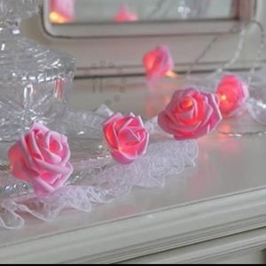 Holiday | New Trendy Hot Pink Roses String Lights | Poshmark